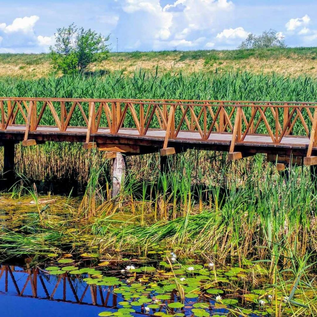 Kopački-rit-1-1024x1024 - ExploreCroatia