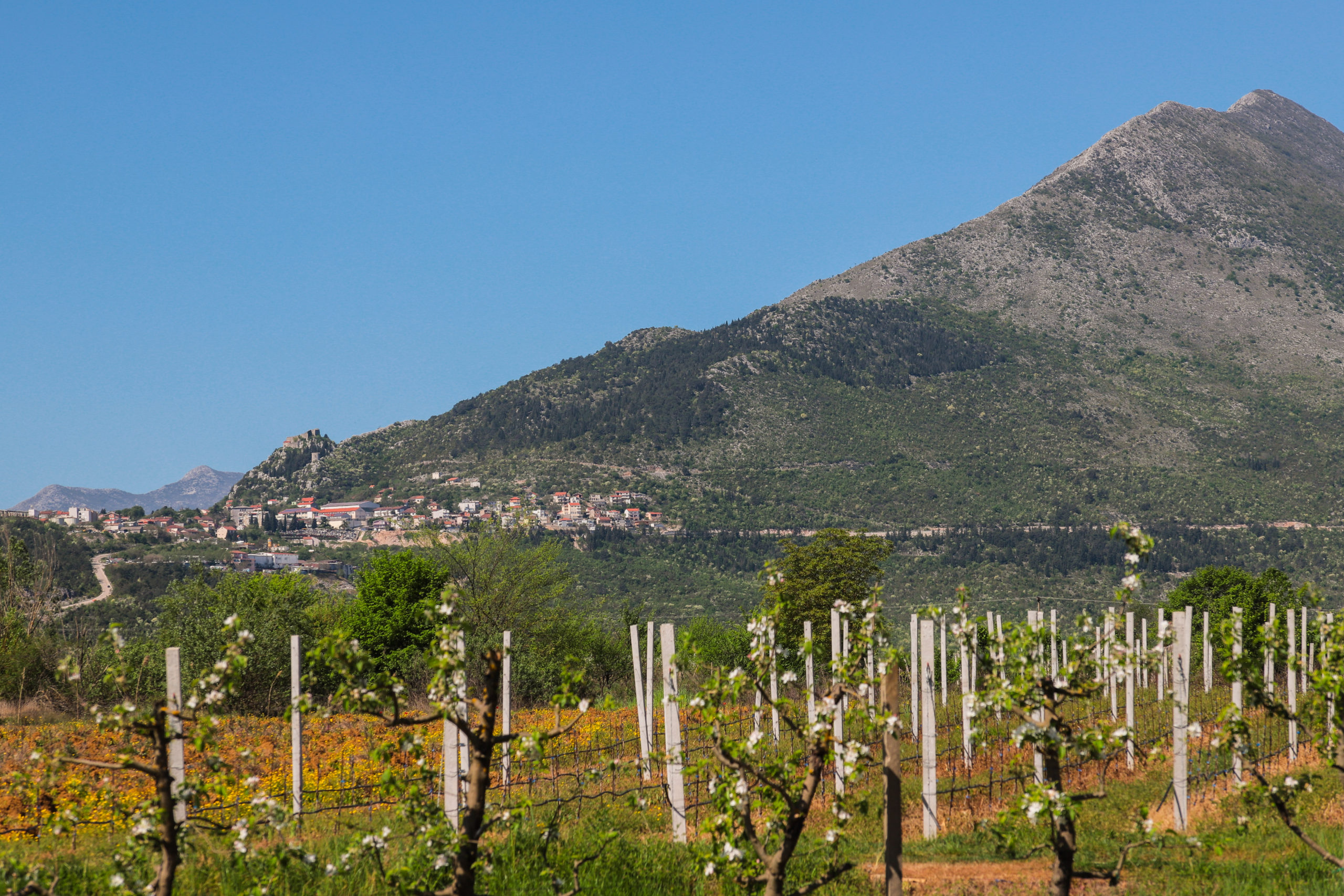 Od delicija seoskih imanja do vinograda u kojima se zimi lovi i riba